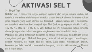 tugas Sel T - imunologi Kelompok 2 kelas.pdf