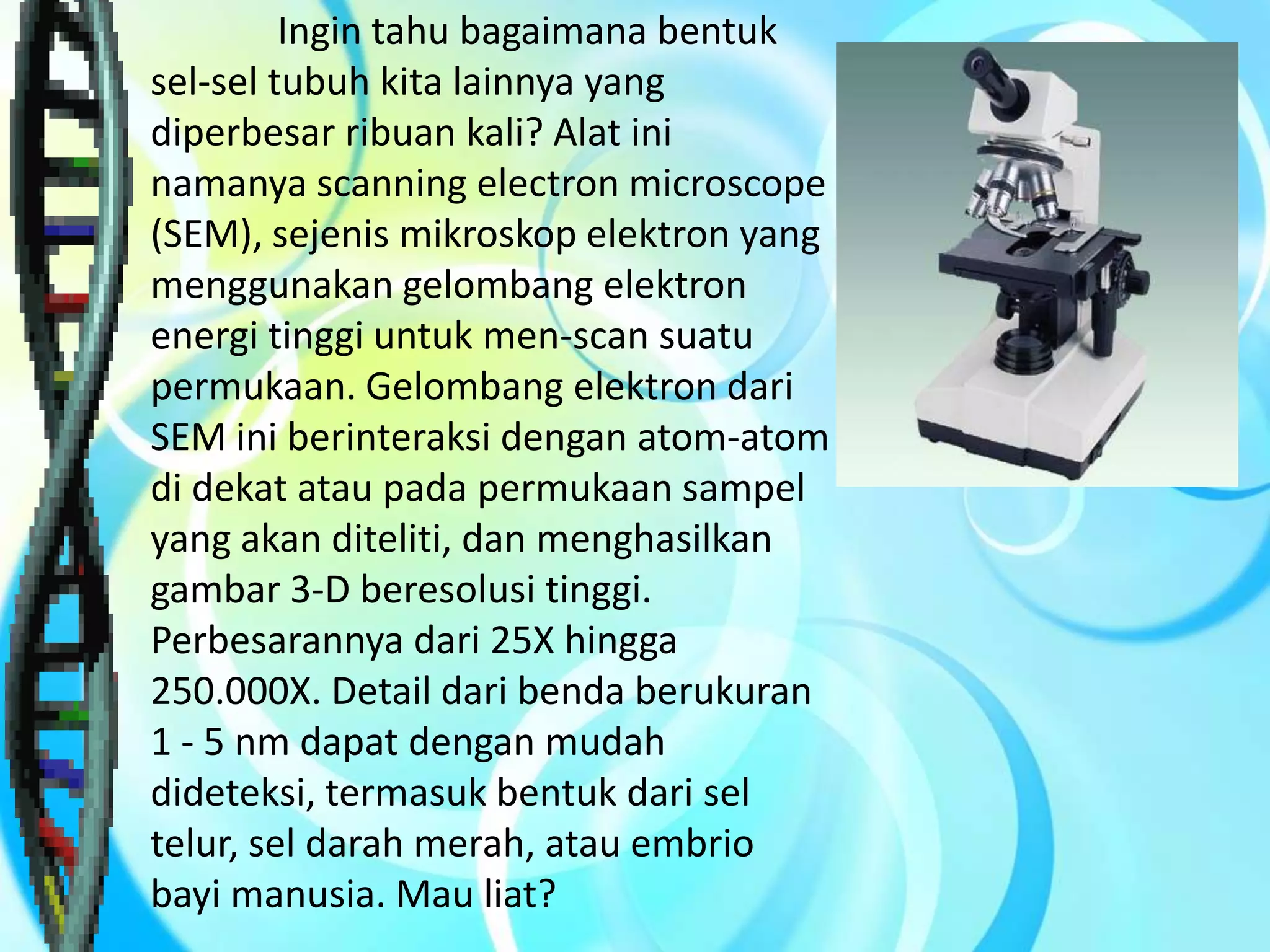 Sel-Sel pada Manusia | PPTX