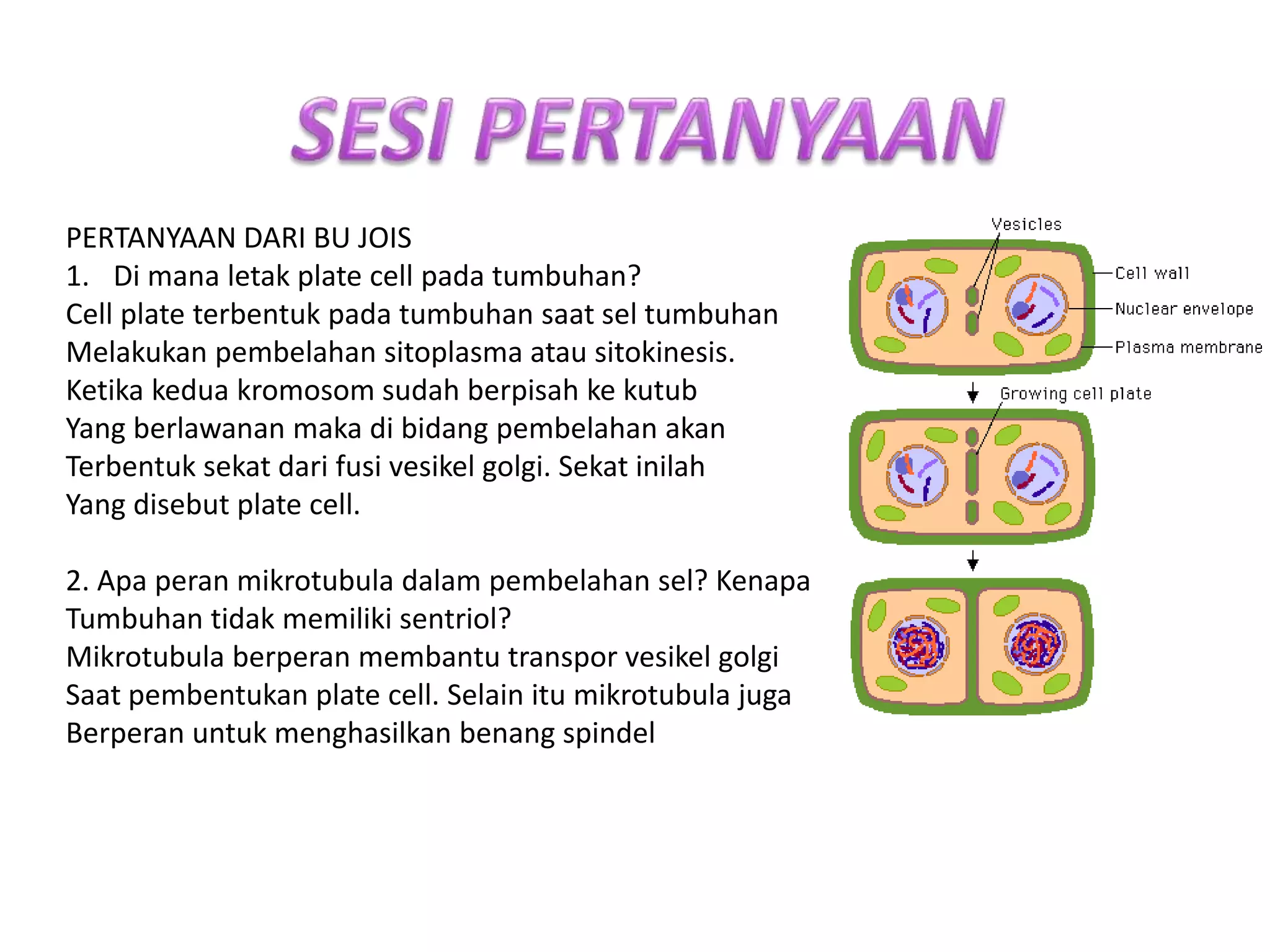 Sel Tumbuhan lengkap beserta organel | PPTX