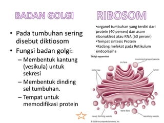 Sel Tumbuhan lengkap beserta organel | PPTX