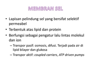 Sel Tumbuhan lengkap beserta organel | PPTX