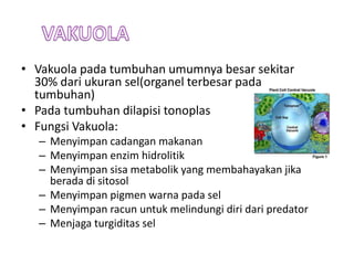 Sel Tumbuhan lengkap beserta organel | PPTX