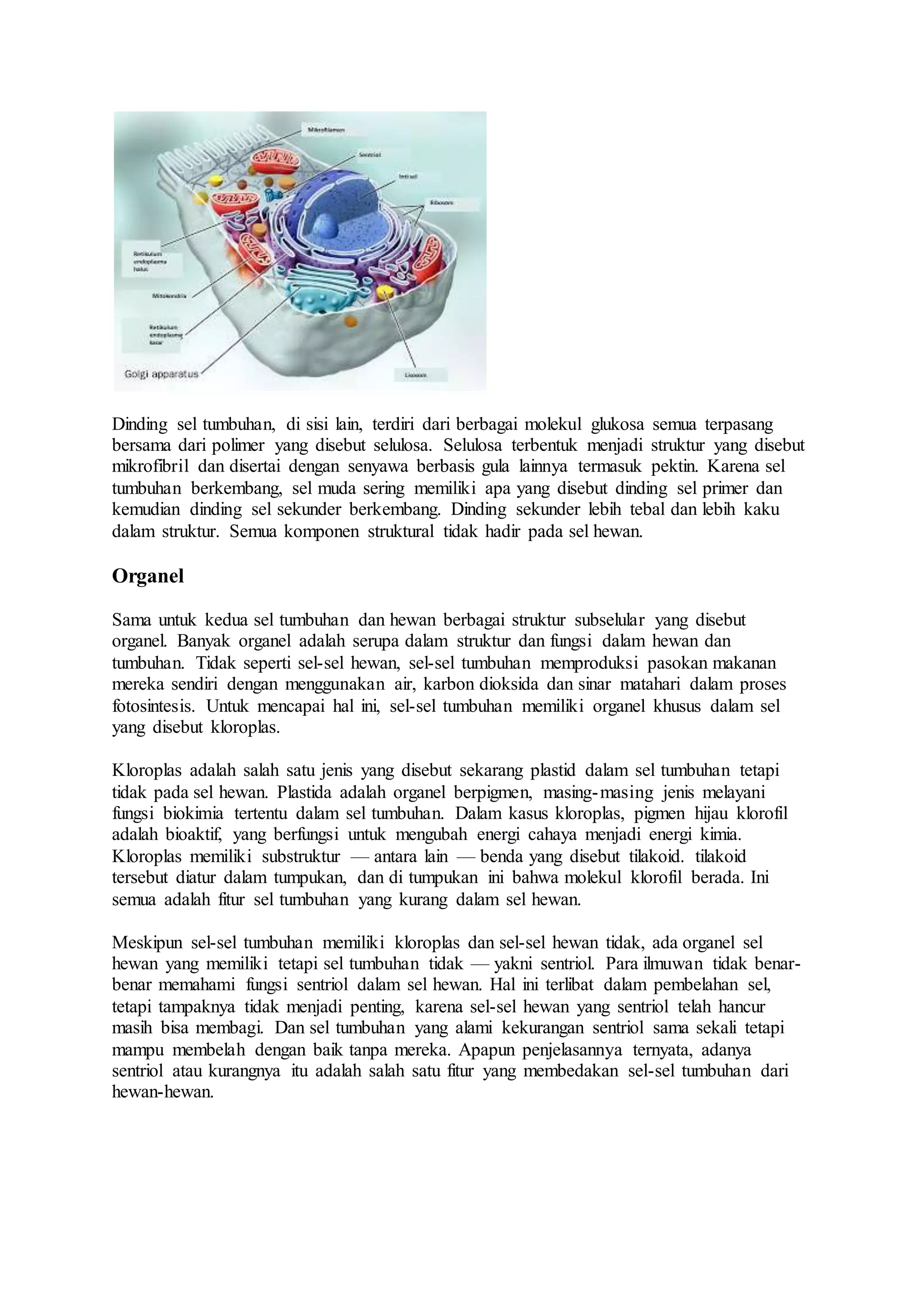 Sel tumbuhan dan sel hewan | DOCX