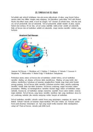 Sel tumbuhan dan sel hewan | PDF
