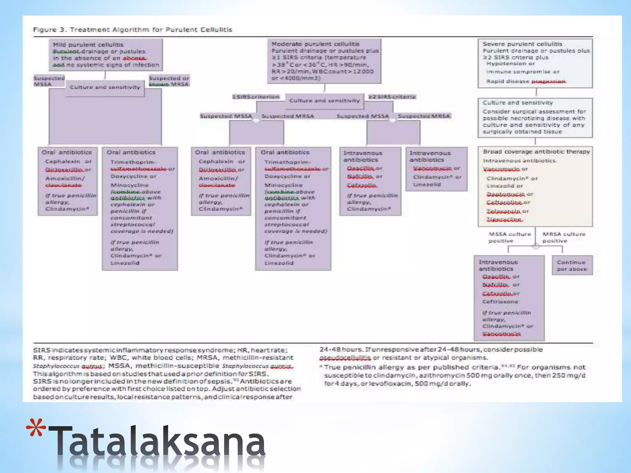 selulitis ppt | PPTX