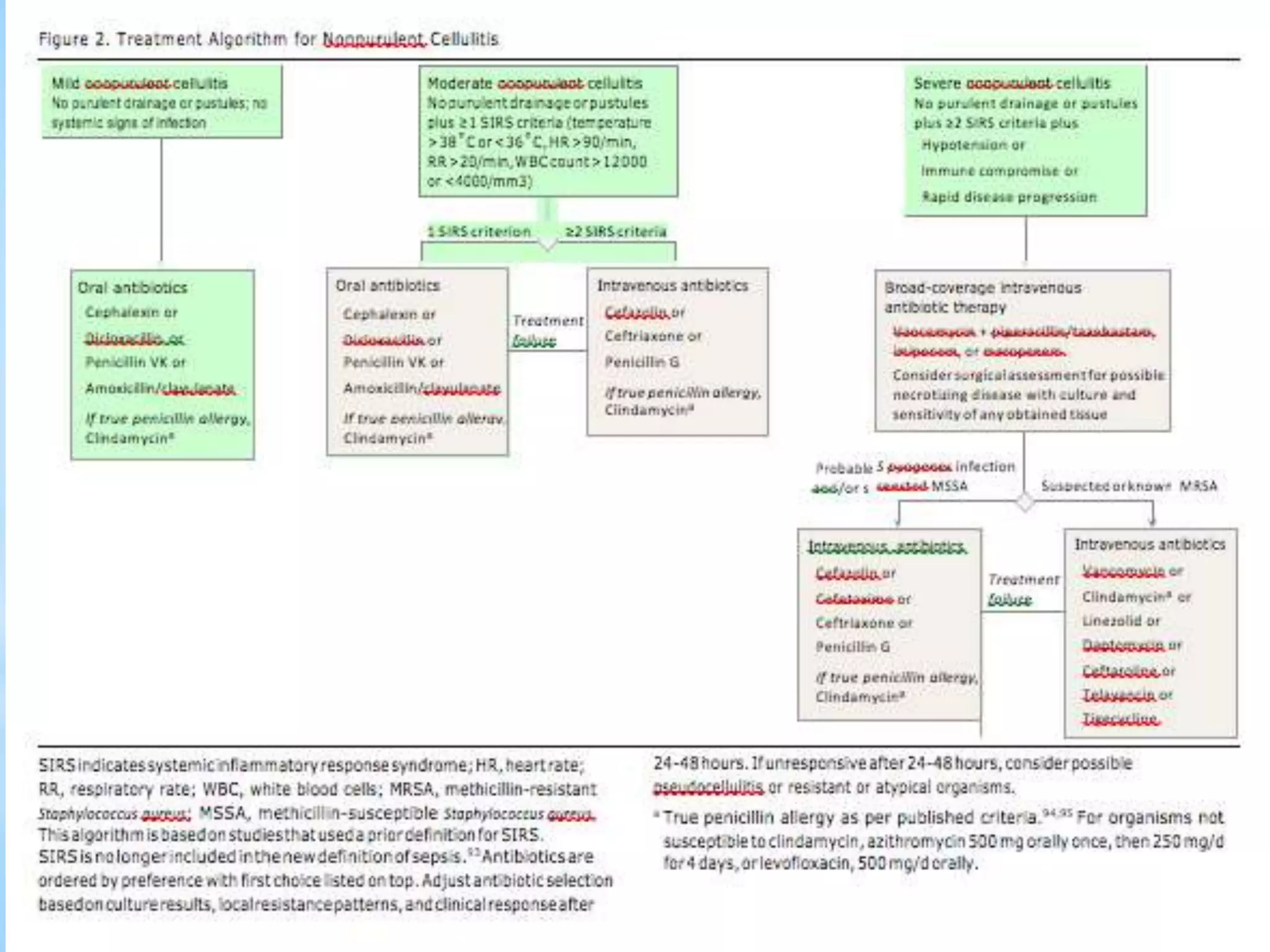 selulitis ppt | PPTX