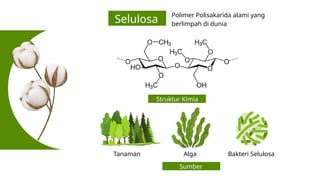 Selulosa dan Rumput Laut - Farmasi dan Kesehatan_ppt.pptx