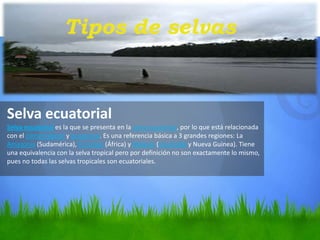 Selva-Bosque | PPTX