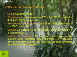 Vegetación De La Selva Tropical Ecuatorial