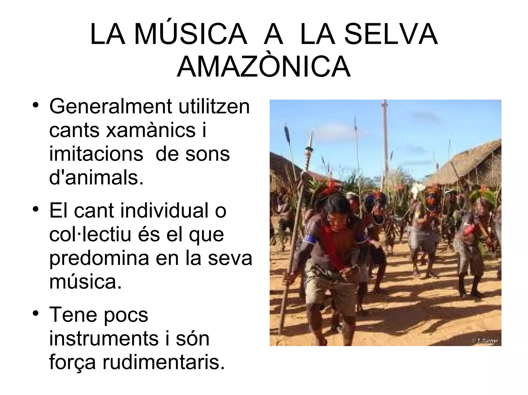 PROJECTE Selva amazònica 3er | PPT
