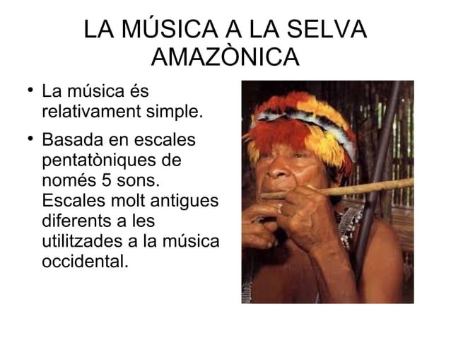 PROJECTE Selva amazònica 3er | PPT