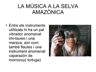 PROJECTE Selva amazònica 3er | PPT