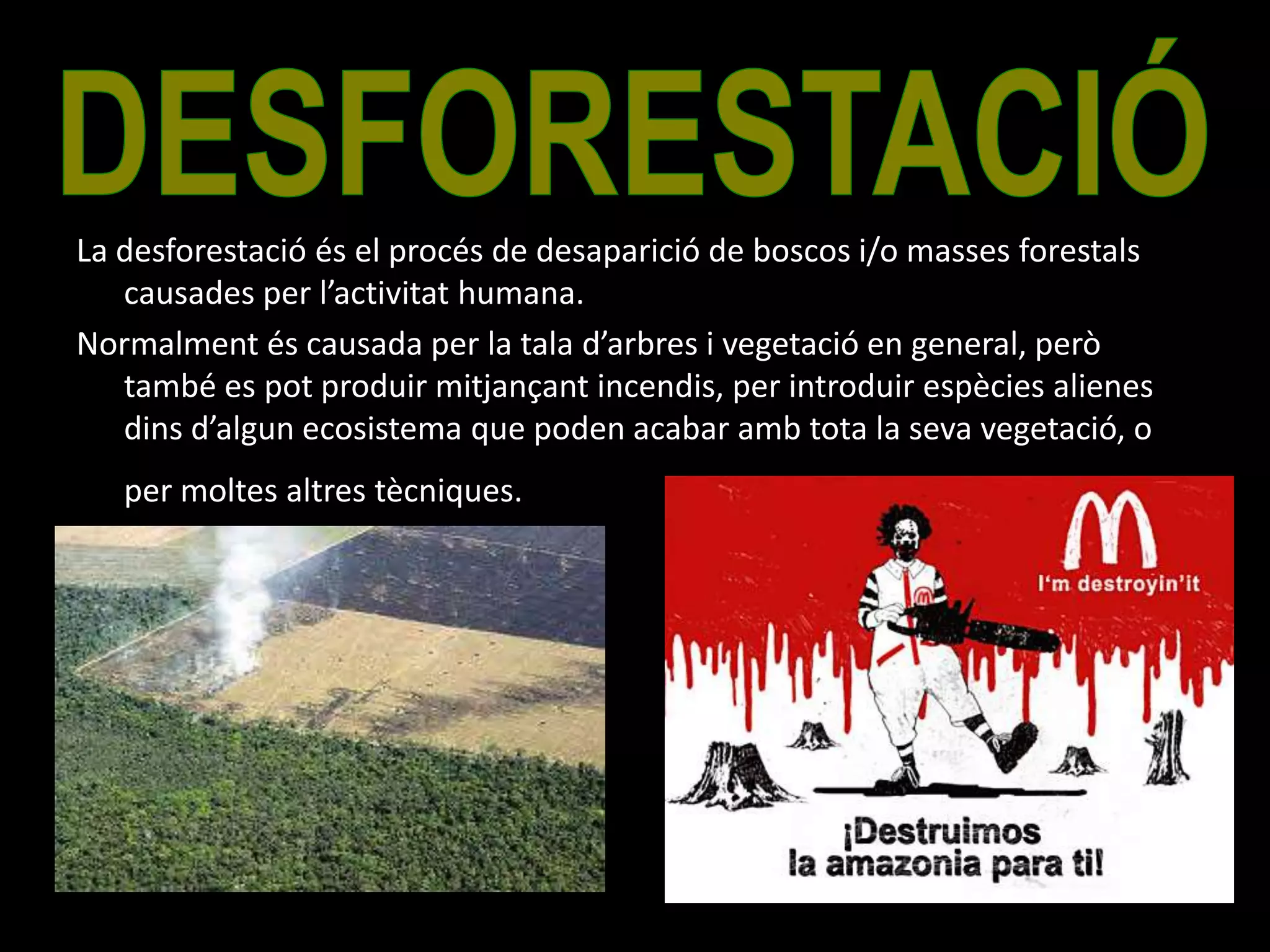 Selva amazònica | PPT