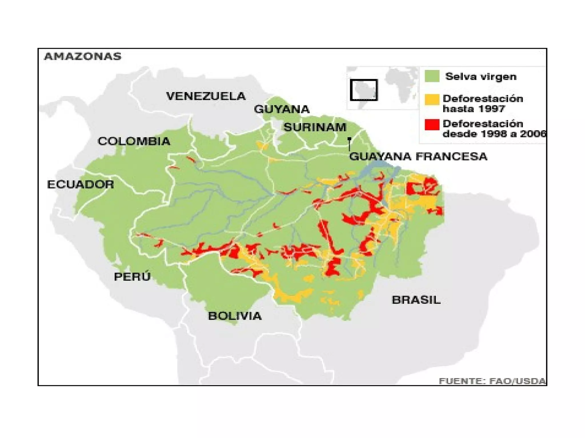 Selva amazonica ana irene | ODP