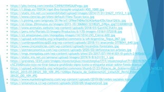 Diapositiva sobre la ecorregión de la Selva Baja | PPTX