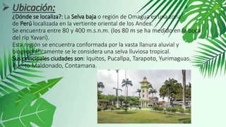 Selva baja o Omagua.pptx