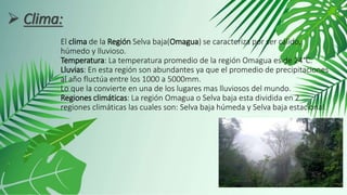 Selva baja o Omagua.pptx