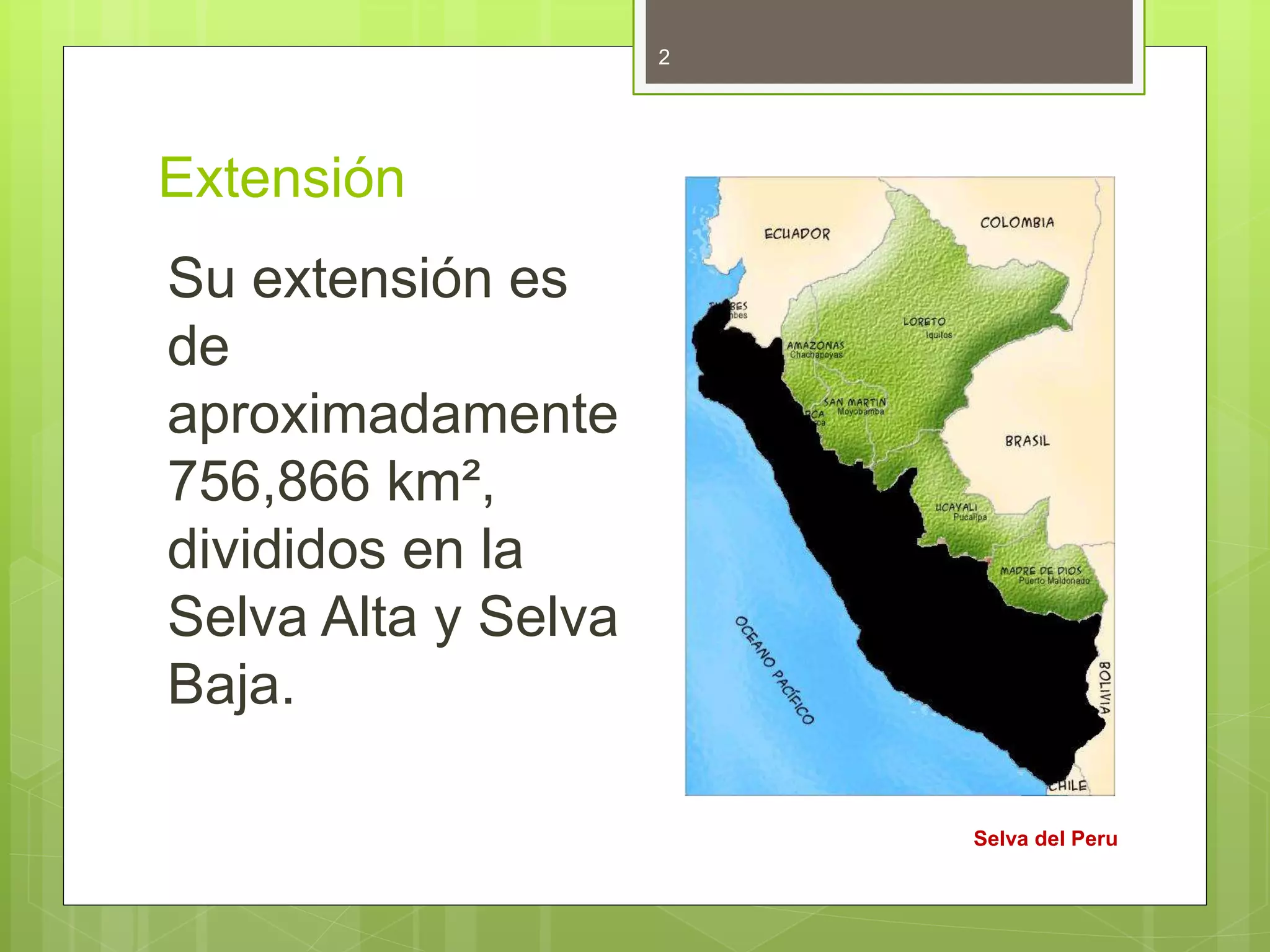 Selva del peru | PPTX