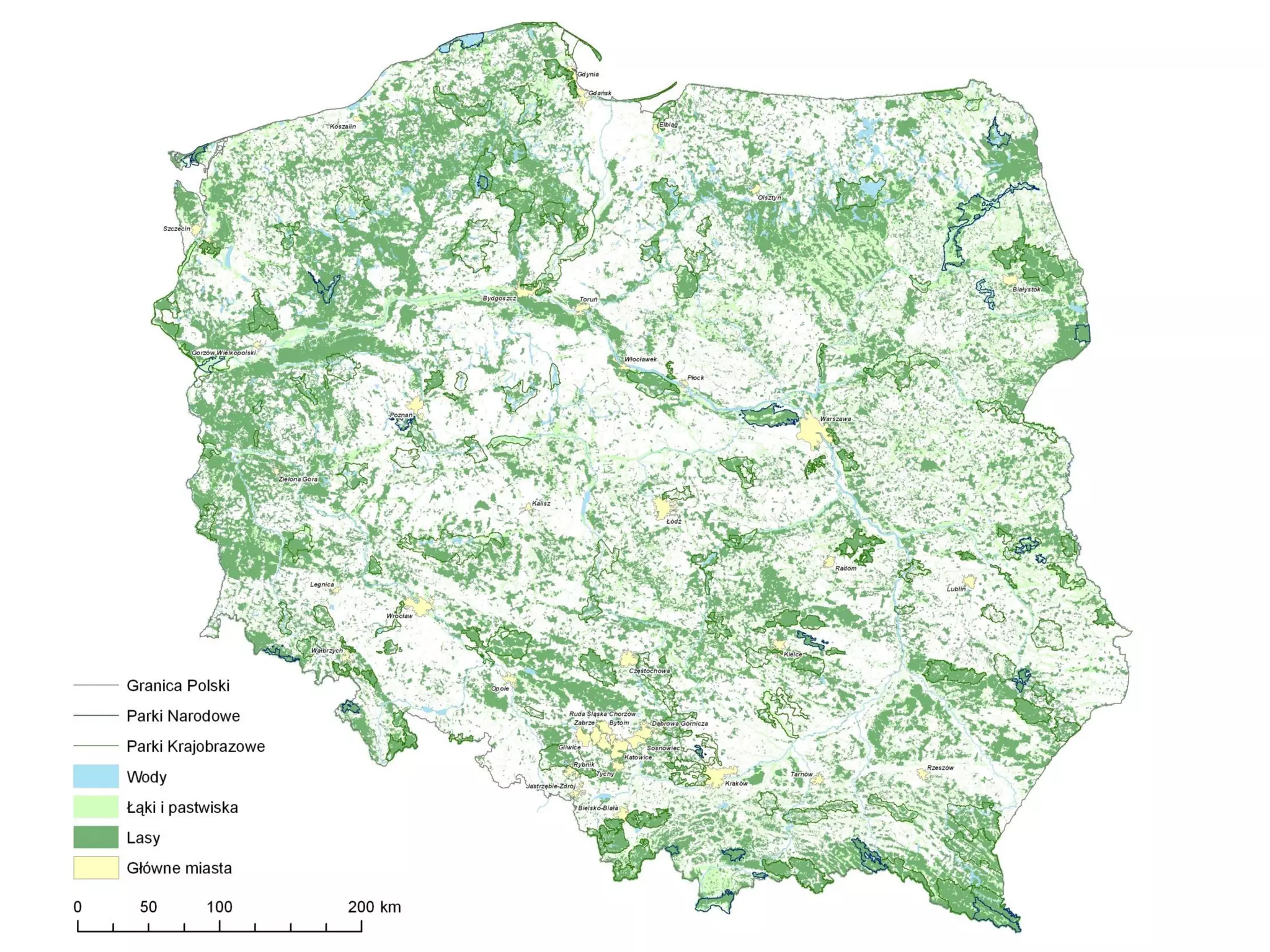 Roadless area initiative | PDF