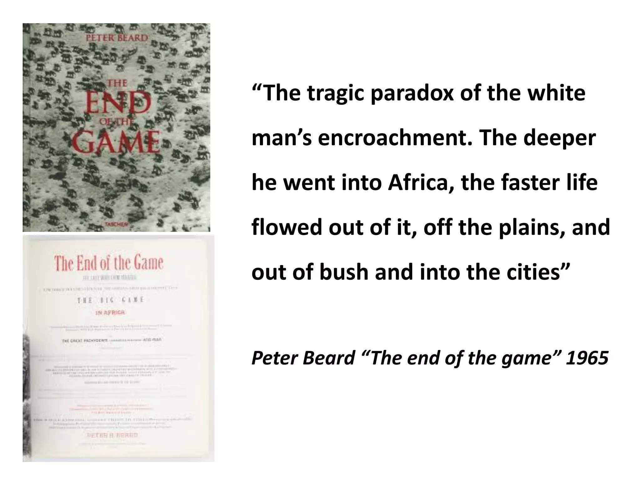 Roadless area initiative | PDF