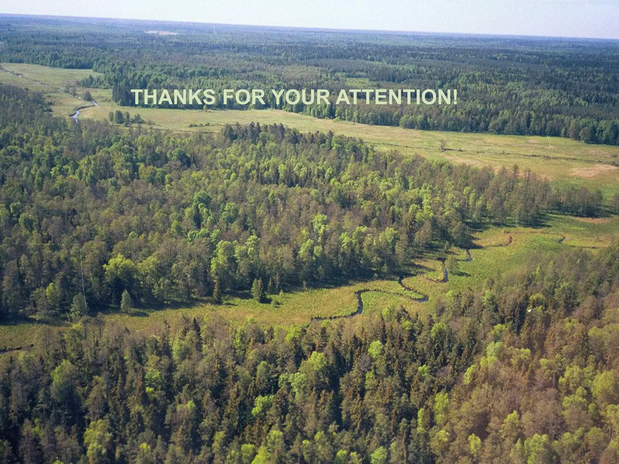 Roadless area initiative | PDF