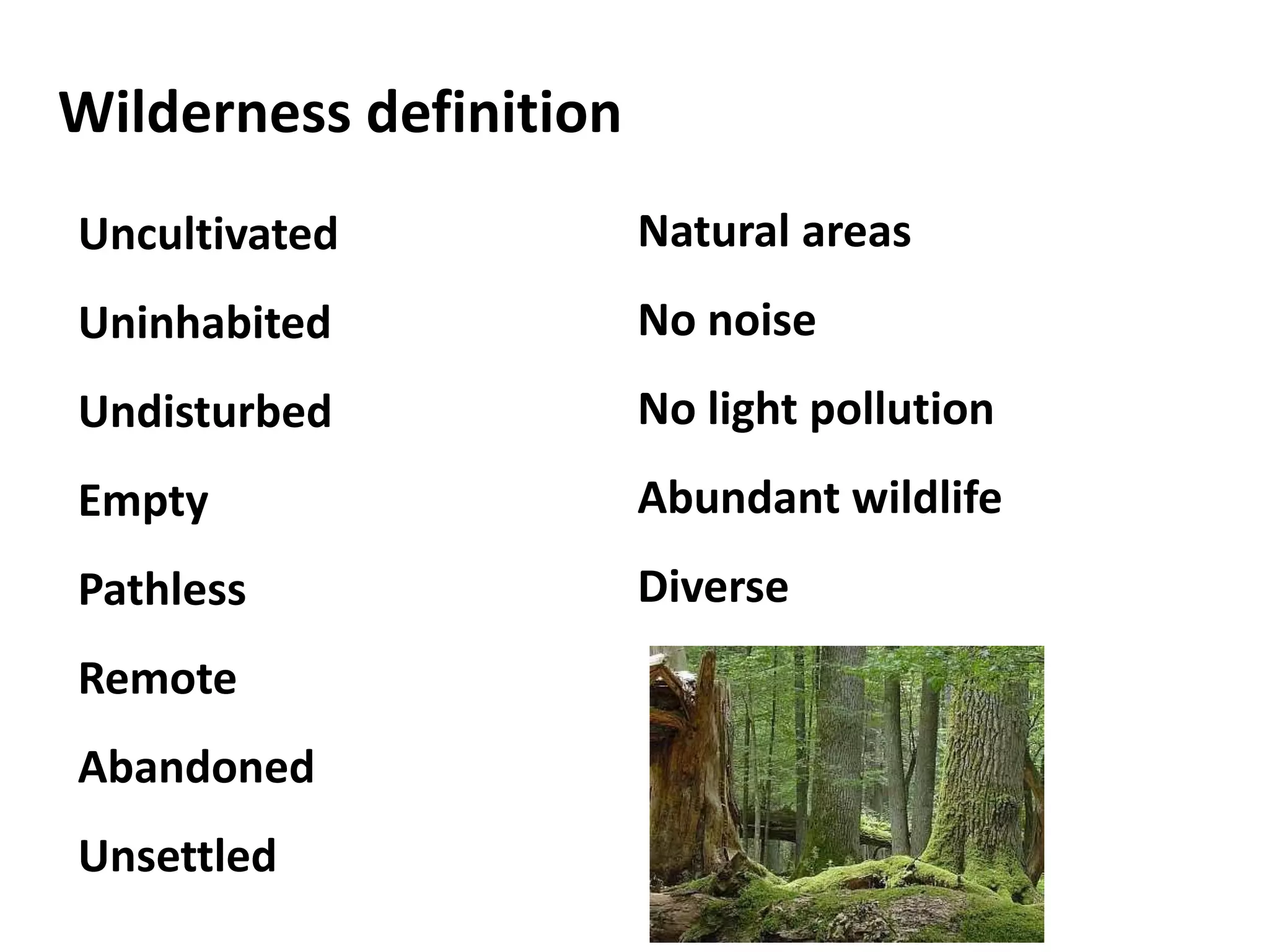 Roadless area initiative | PDF