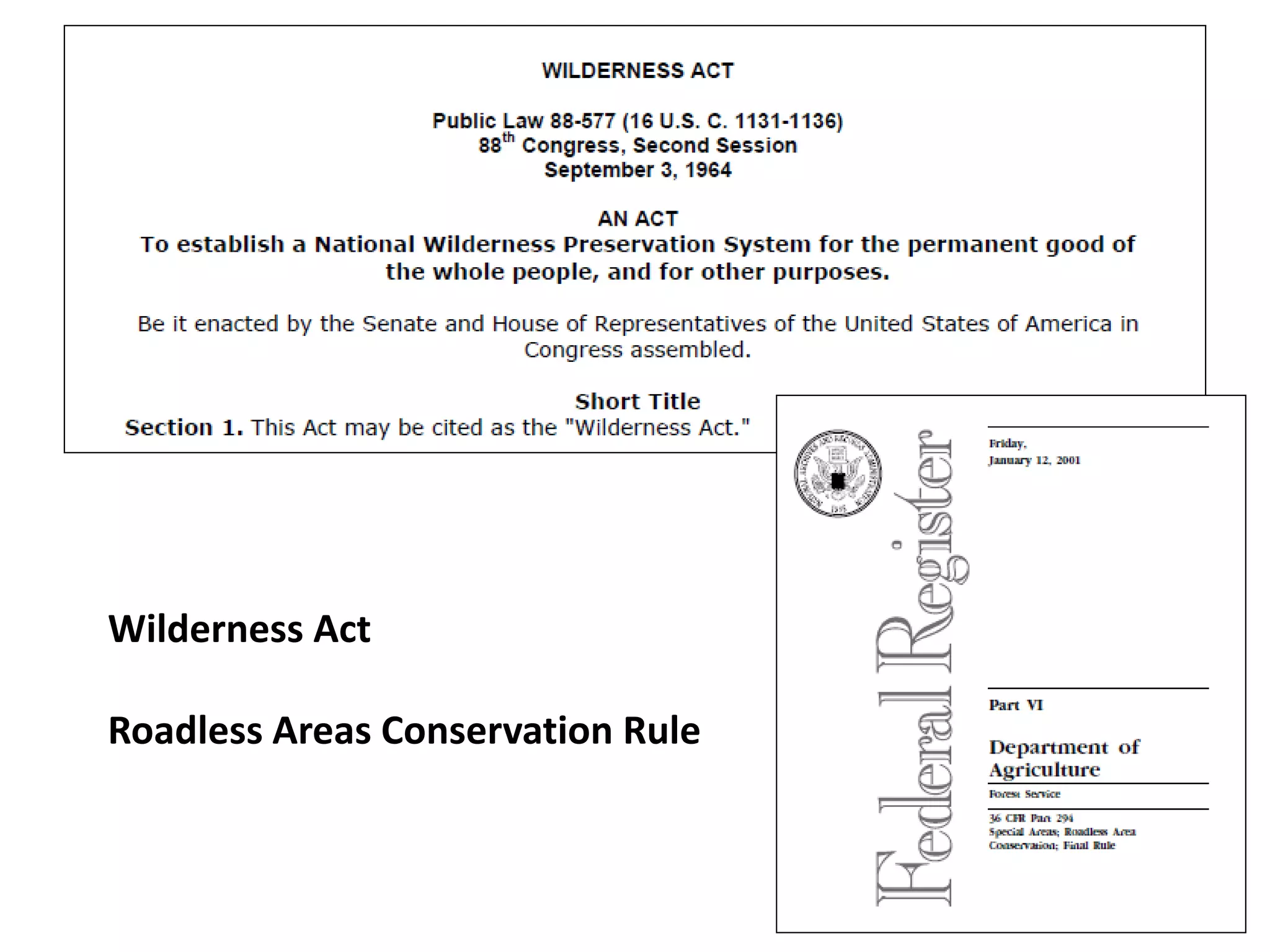 Roadless area initiative | PDF