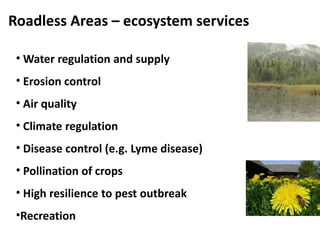 Roadless area initiative | PPT