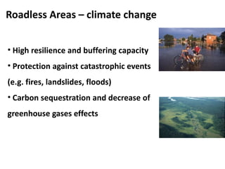 Roadless area initiative | PPT