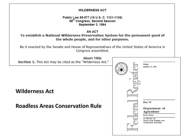 Roadless area initiative | PPT