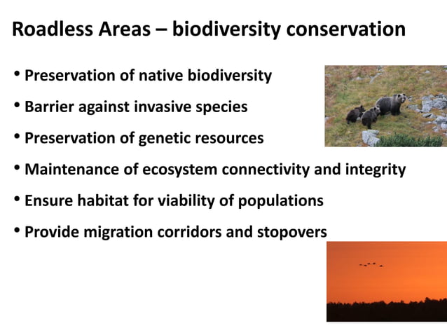 Roadless area initiative | PPT