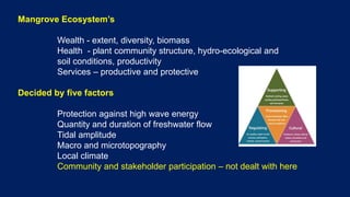 Mangrove research: Advances and gaps in Indian settings | PDF