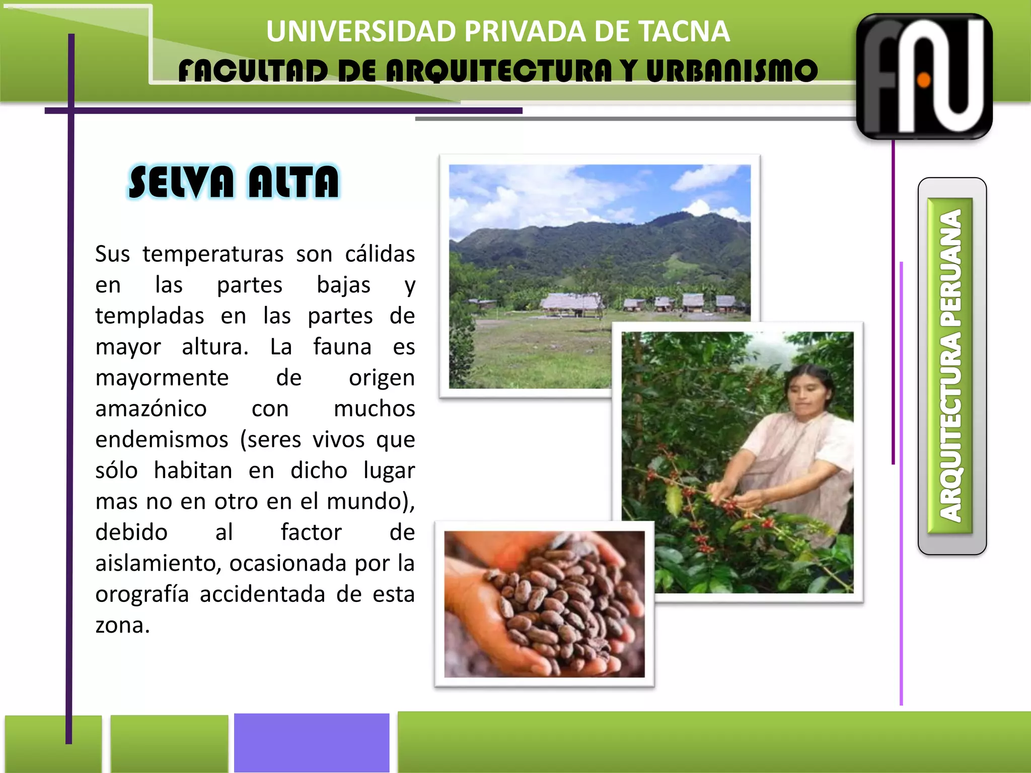 Selva Peruana | PDF