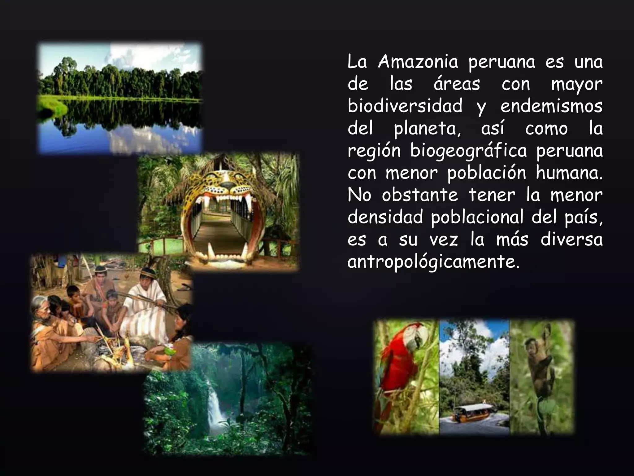 Selva peruana principales lugares turisticos | PPTX