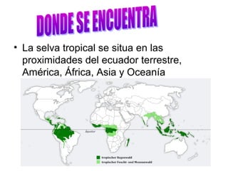 Selva tropical | PPT