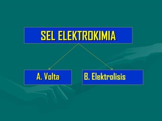Sel Volta | PPT