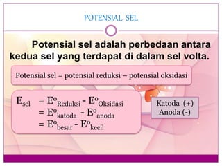 Sel volta | PPT
