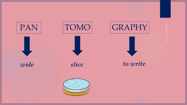 Panoramic radiography OPG | PPTX