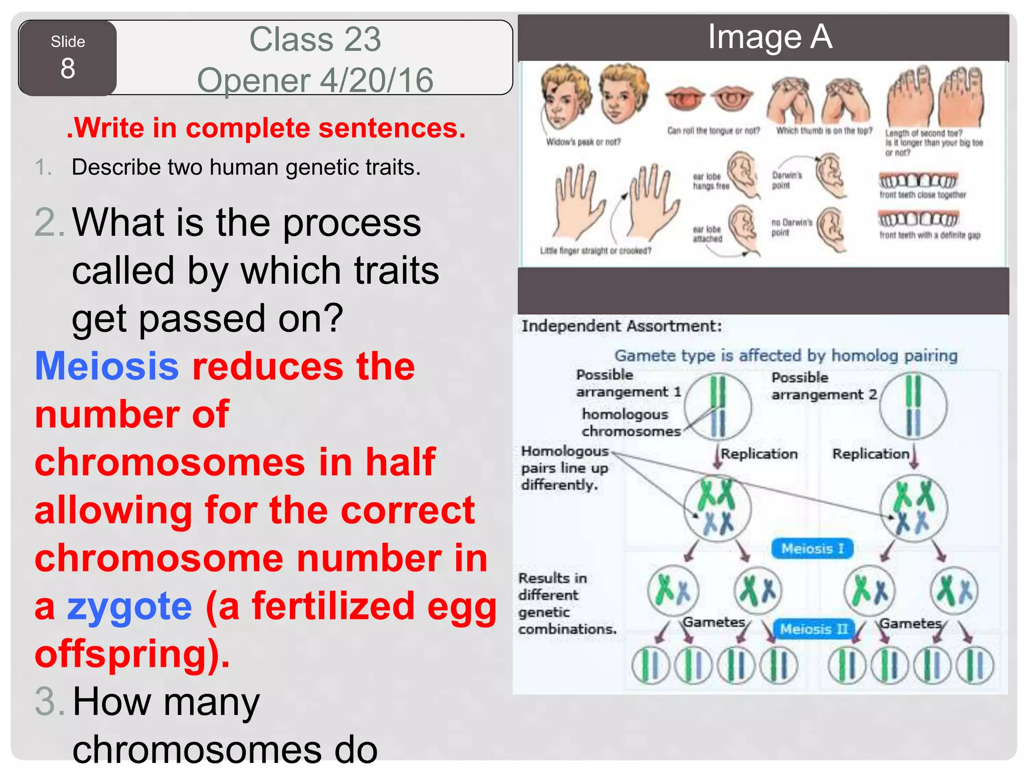 Sem.2 4th quarter biology agenda and targets 2016.v2.posting | PPTX