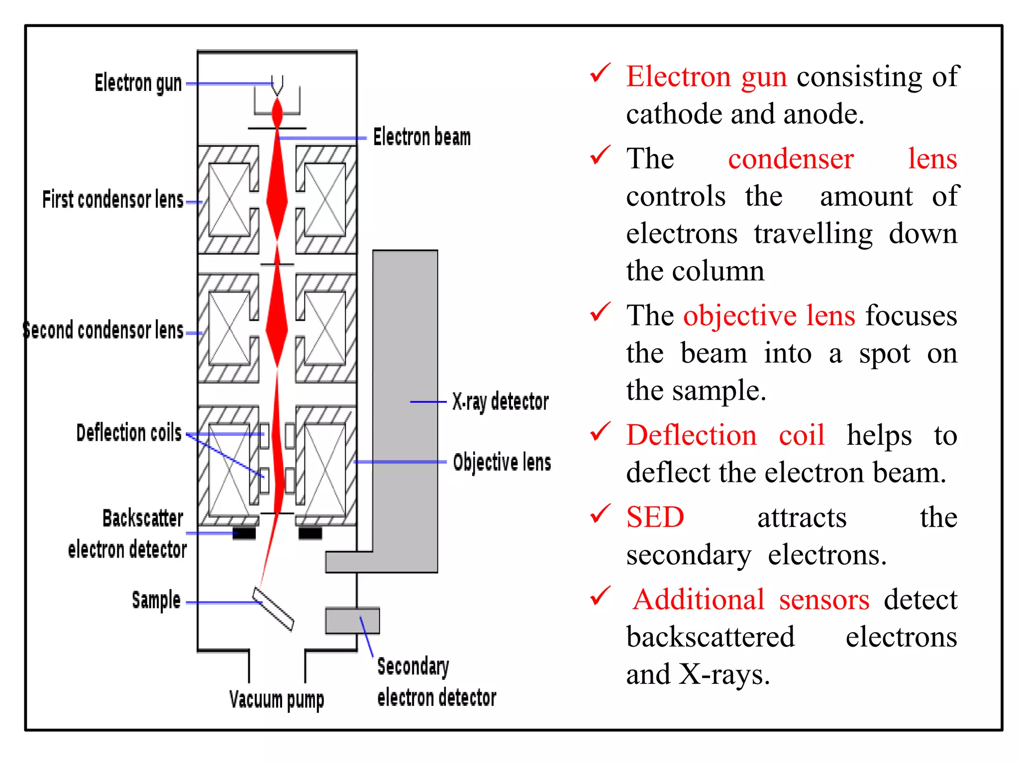 Scanning Electron Microscope (SEM) | PPTX
