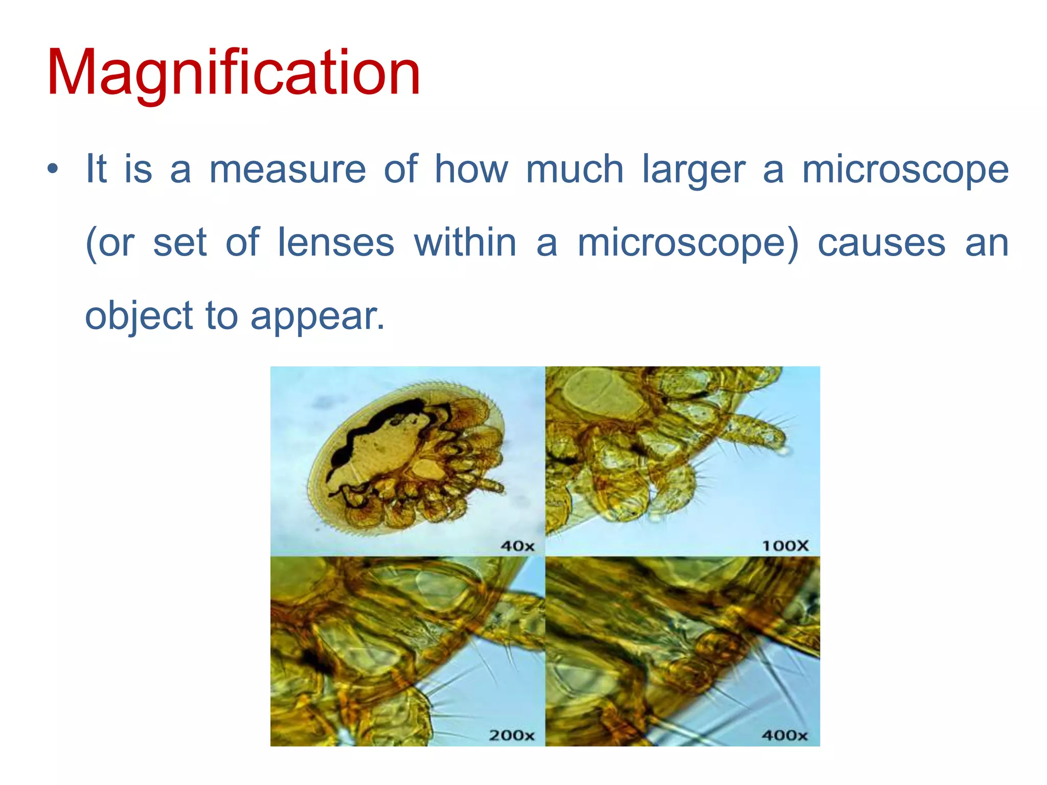 Microscopy in food research | PPTX