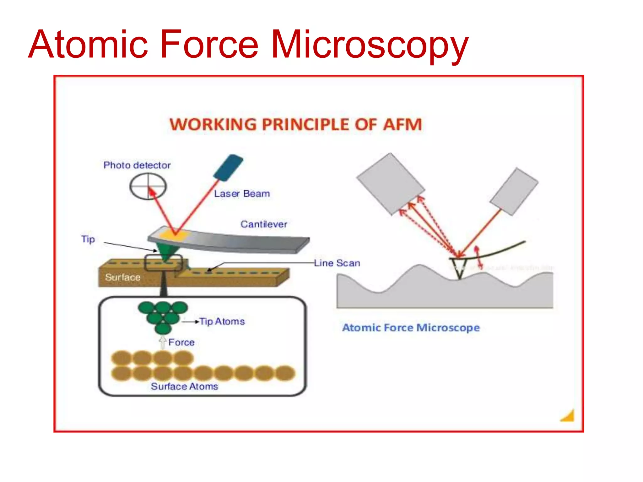Microscopy in food research | PPTX