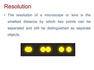Microscopy in food research | PPTX