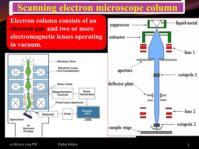 presentation on scanning electron microscopy | PPT