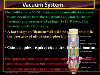 presentation on scanning electron microscopy | PPTX