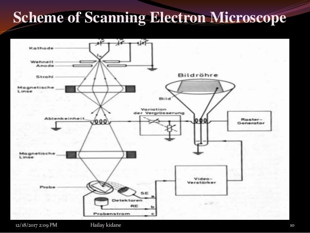 presentation on scanning electron microscopy