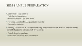 Scanning Electron Microscope | PPTX