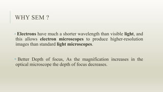 Scanning Electron Microscope | PPTX