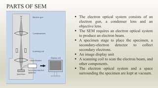 Scanning Electron Microscope | PPTX