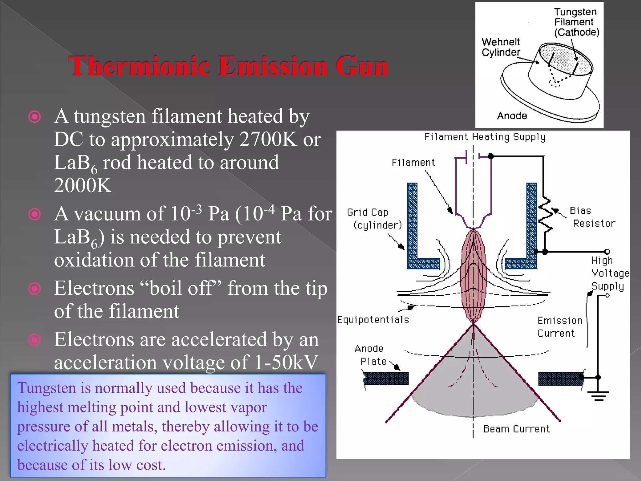 Scanning Electron Microscopy | PDF